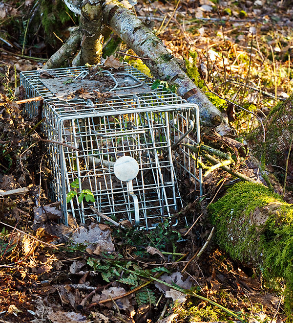 activity-hunting-trap | Geauga Park District