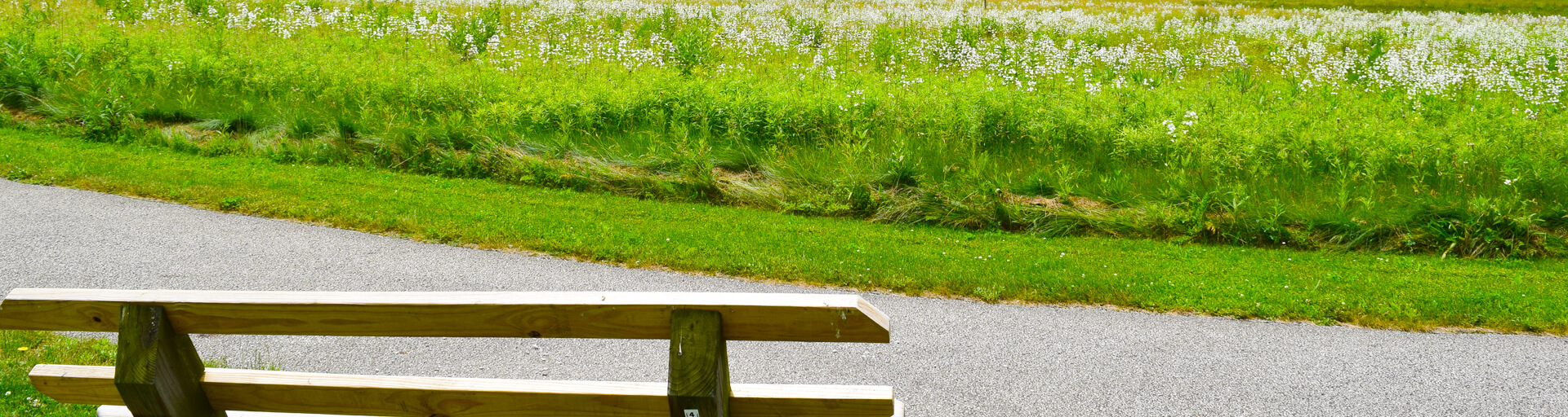 Frohring Meadows park | Geauga Park District