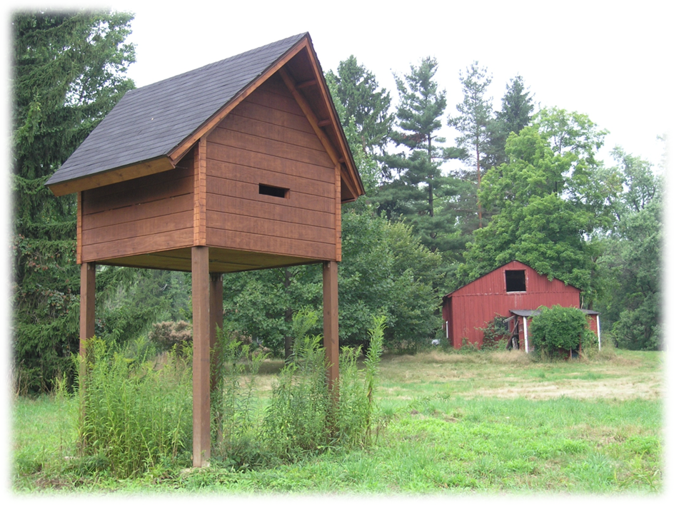 Advice for hanging a bat box? | Geauga Park District