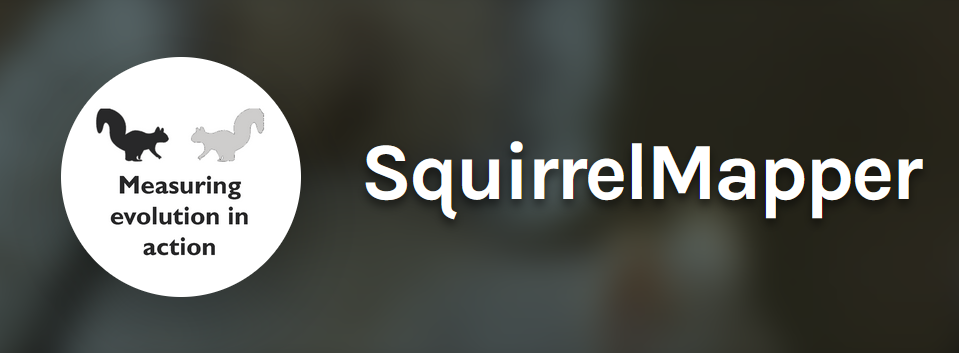 What type of squirrel looks like this? | Geauga Park District